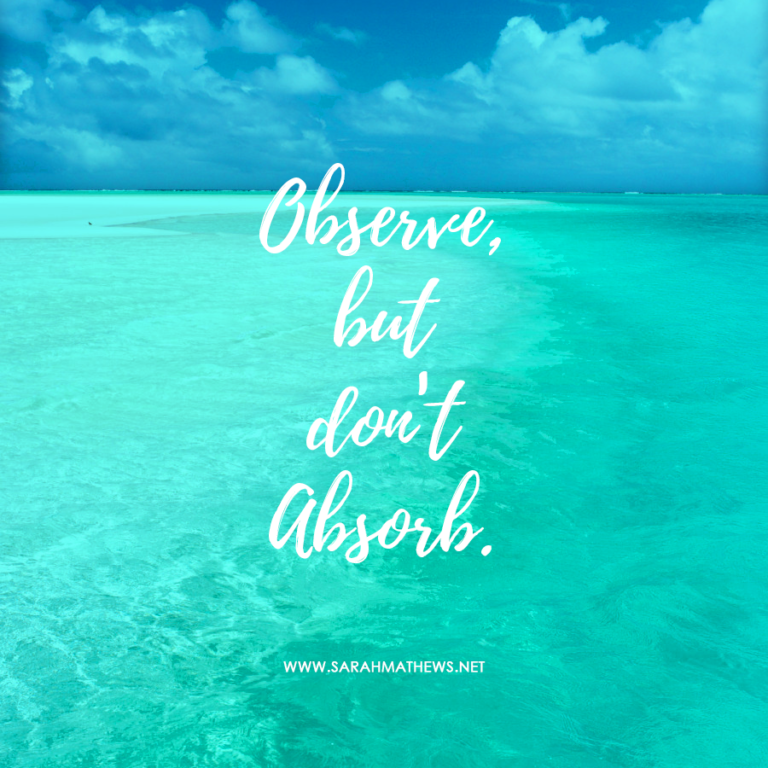 Observe. But Don't Absorb - Expert Website Design & Development ...